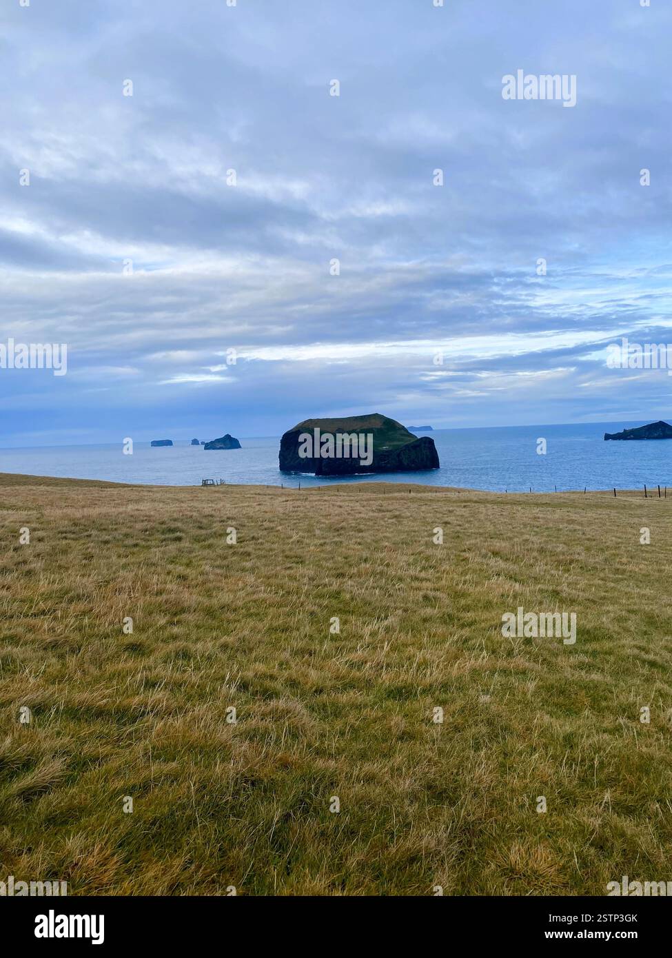 A tranquil coastal landscape featuring golden grass fields, calm blue ...