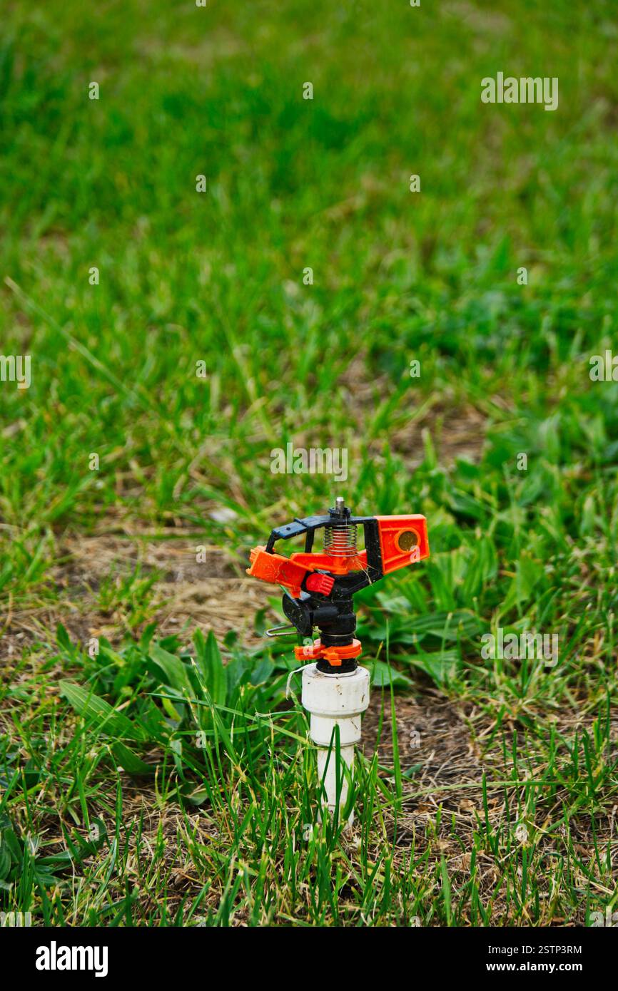 Sprinkler on plant plot hi-res stock photography and images - Alamy