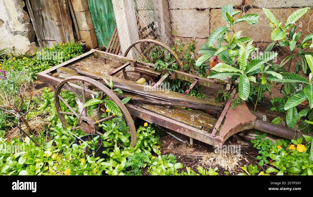 old cart to transport jars Stock Photo - Alamy