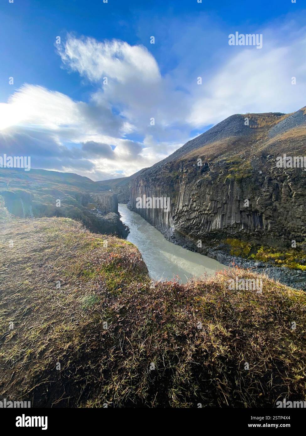 A captivating river flows through a canyon with vertical basalt columns ...