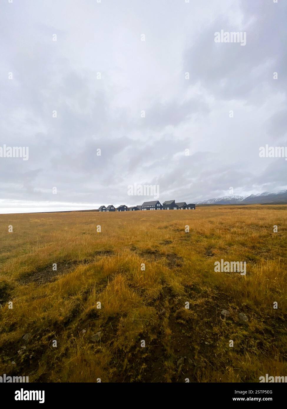 The image depicts a vast, open landscape with a grassy field stretching ...
