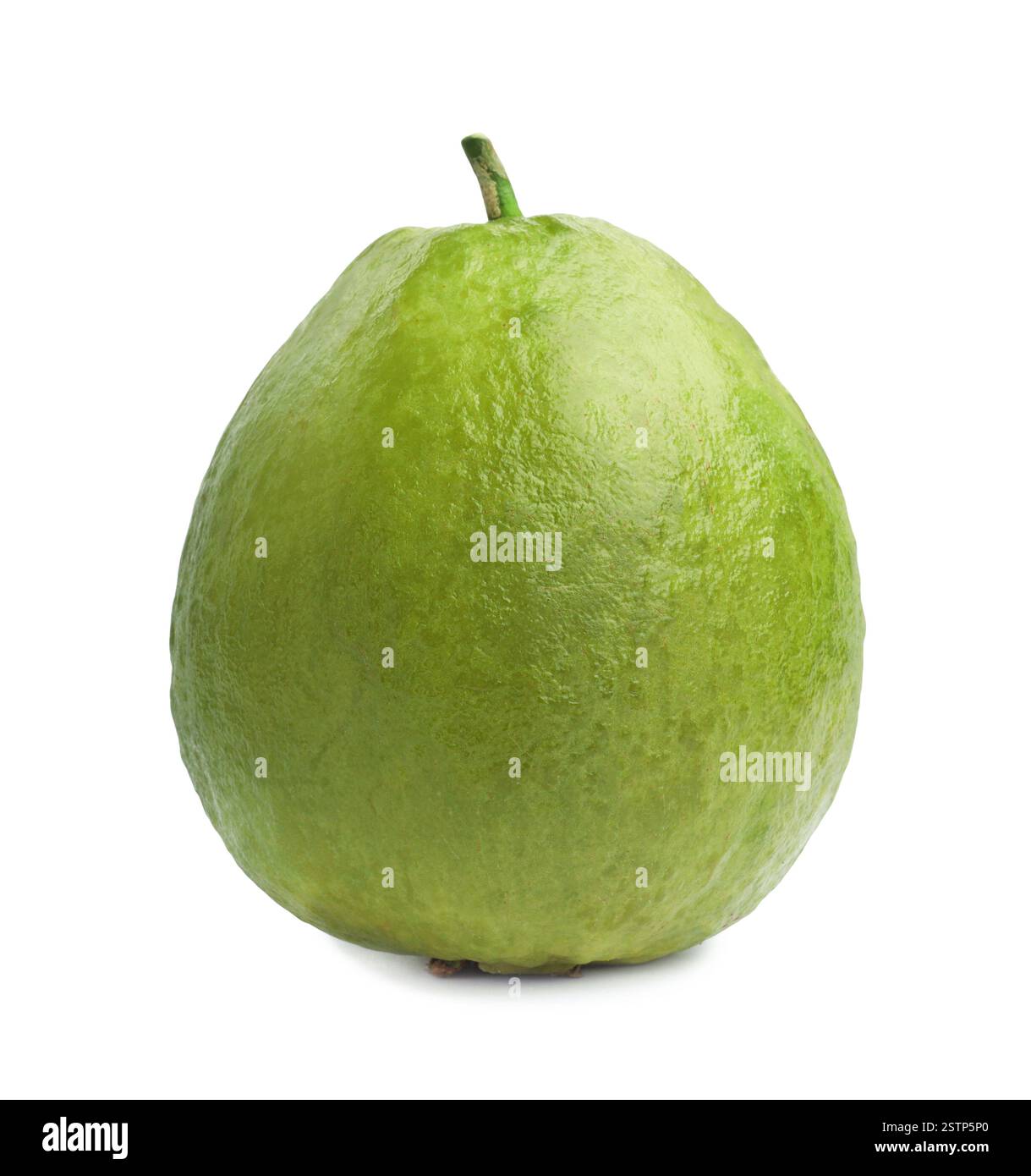 One fresh guava fruit isolated on white Stock Photo - Alamy