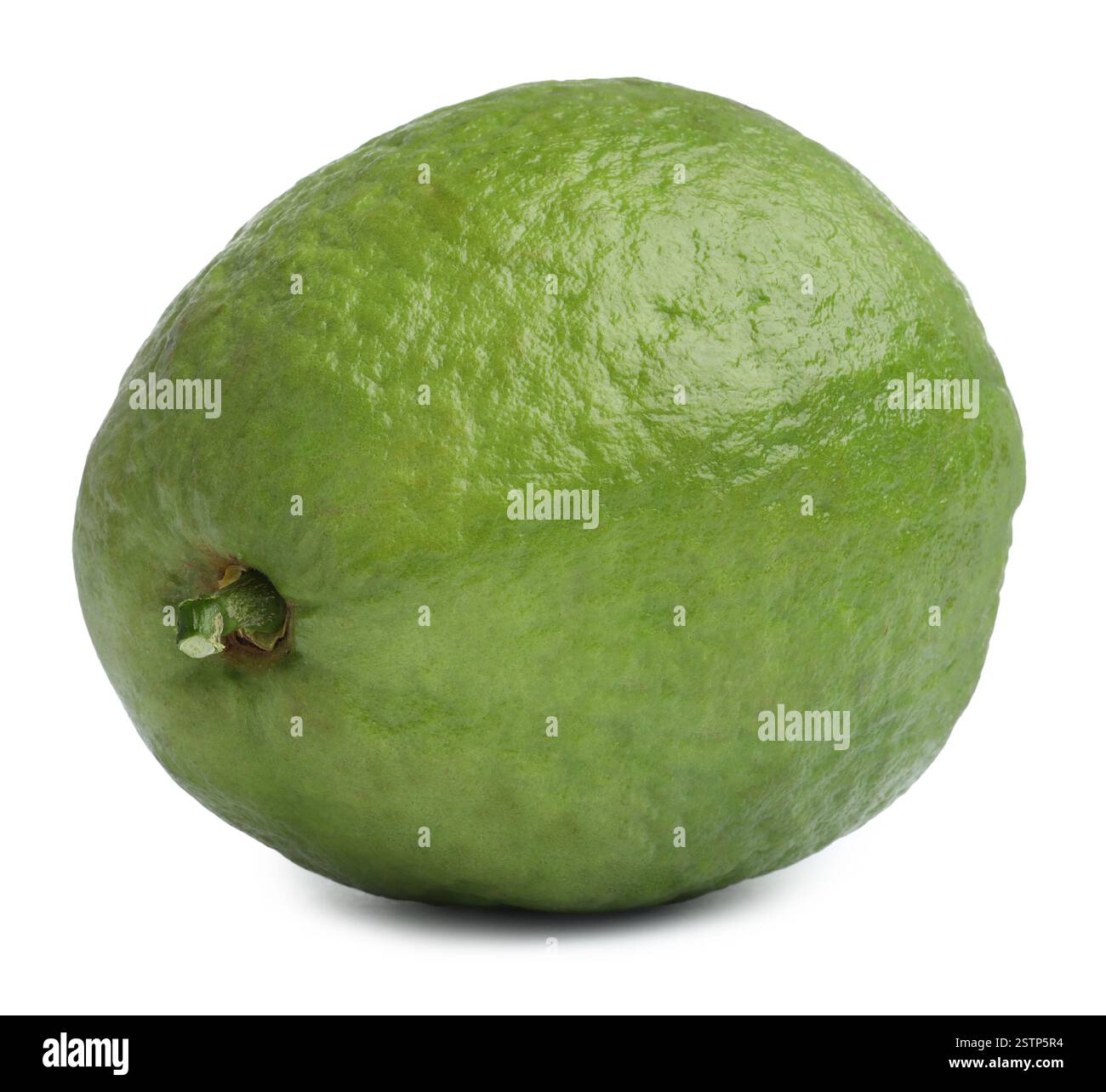 One fresh guava fruit isolated on white Stock Photo - Alamy