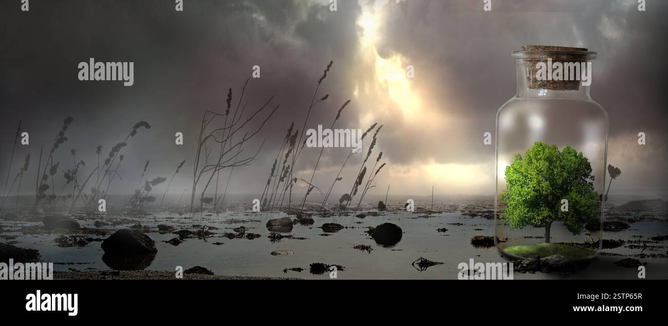 Pollution - a green oak tree environmental landscape tree in a ...