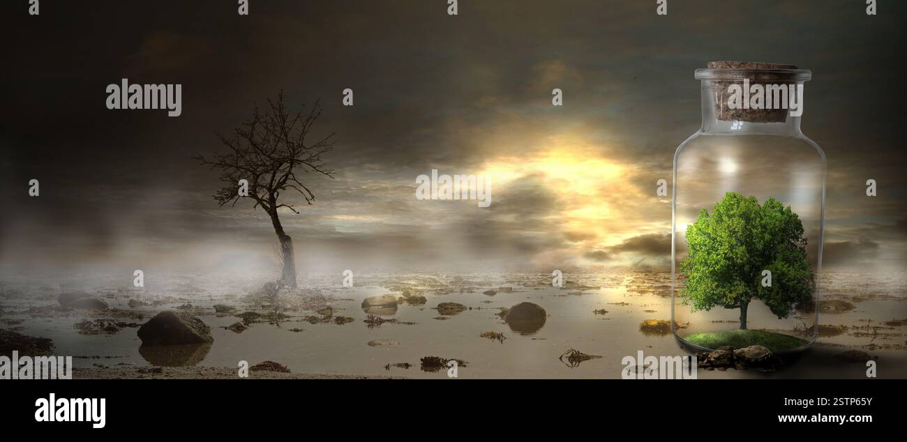 Pollution - a green oak tree environmental landscape tree in a ...