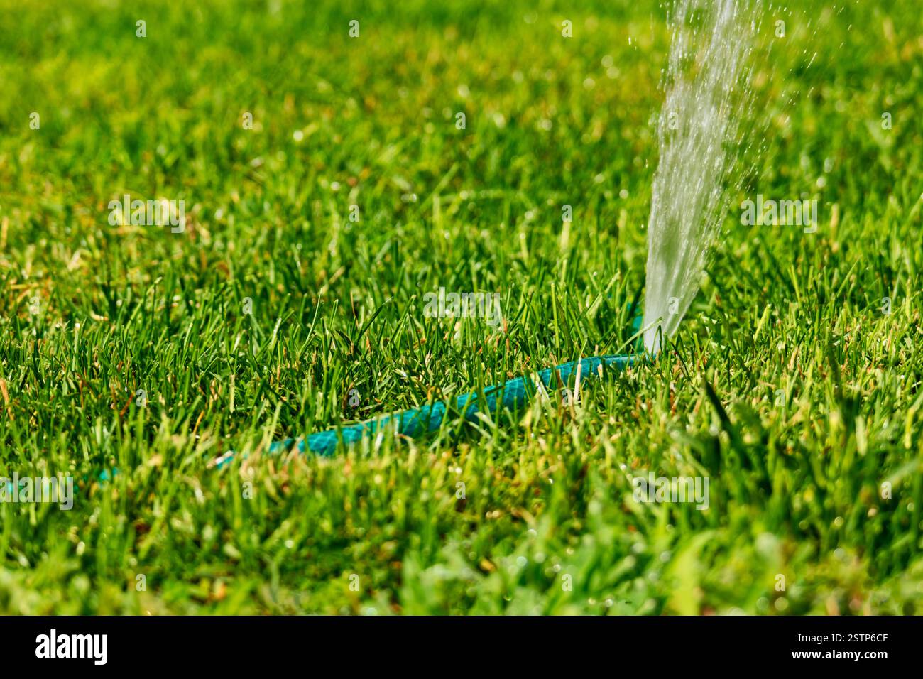 Water sysem hi-res stock photography and images - Alamy