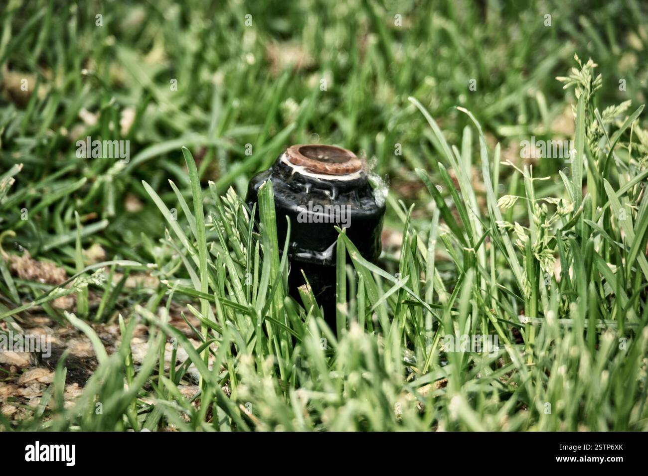 Spraying irrigation sprinkler head hi-res stock photography and images ...