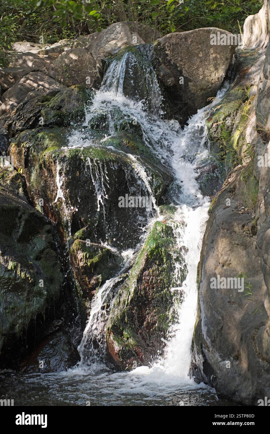 La muga hi-res stock photography and images - Alamy