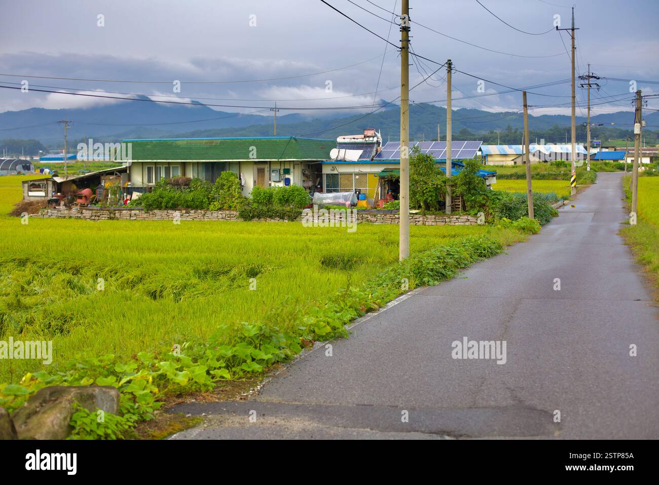 Jeungpyeong County, South Korea - September 10, 2020: A rural farmhouse ...