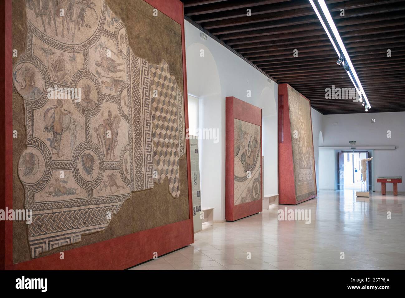 Municipal museum roman mosaics hi-res stock photography and images - Alamy
