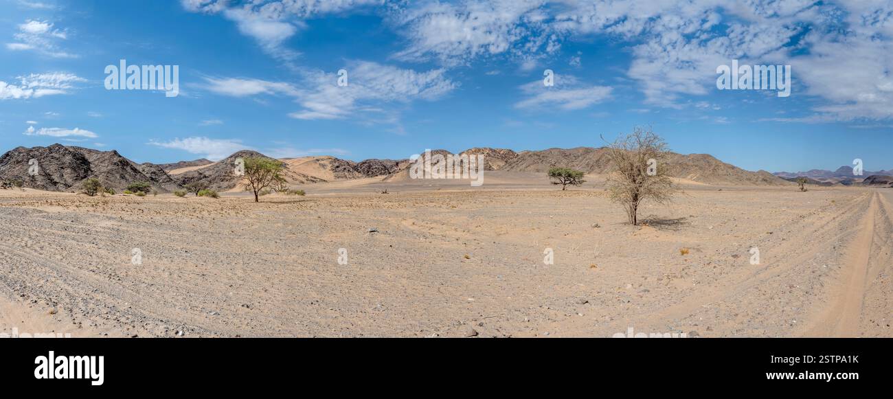 landscape with basalt rock hills covered with sand and sparse trees in ...