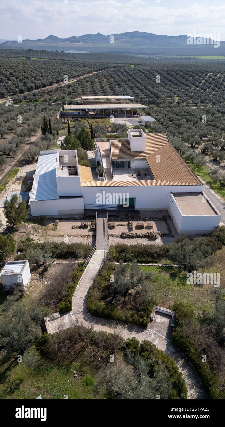 Aerial drone view of the Roman Villa of Fuente Alamo, historical site ...