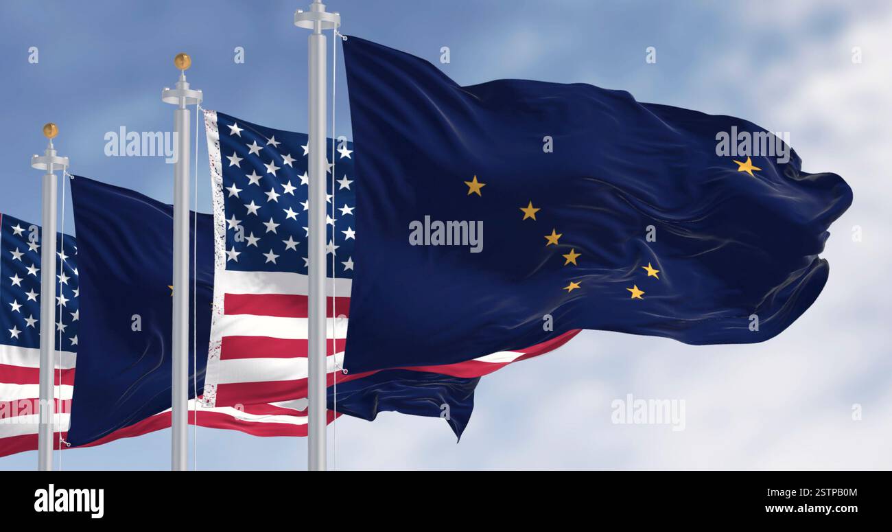 Alaska state flags waving in the wind with the national flags of the ...