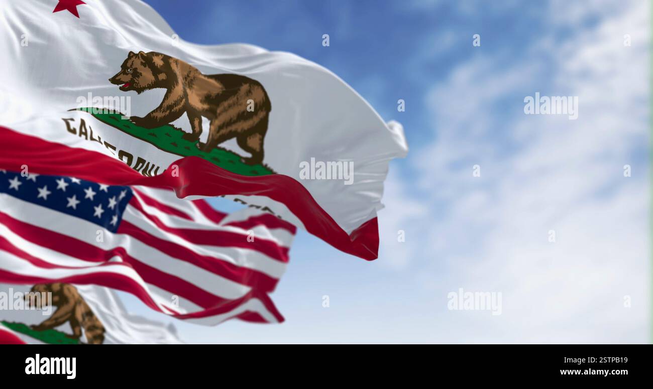 California state flags and the American flag waving in the wind ...