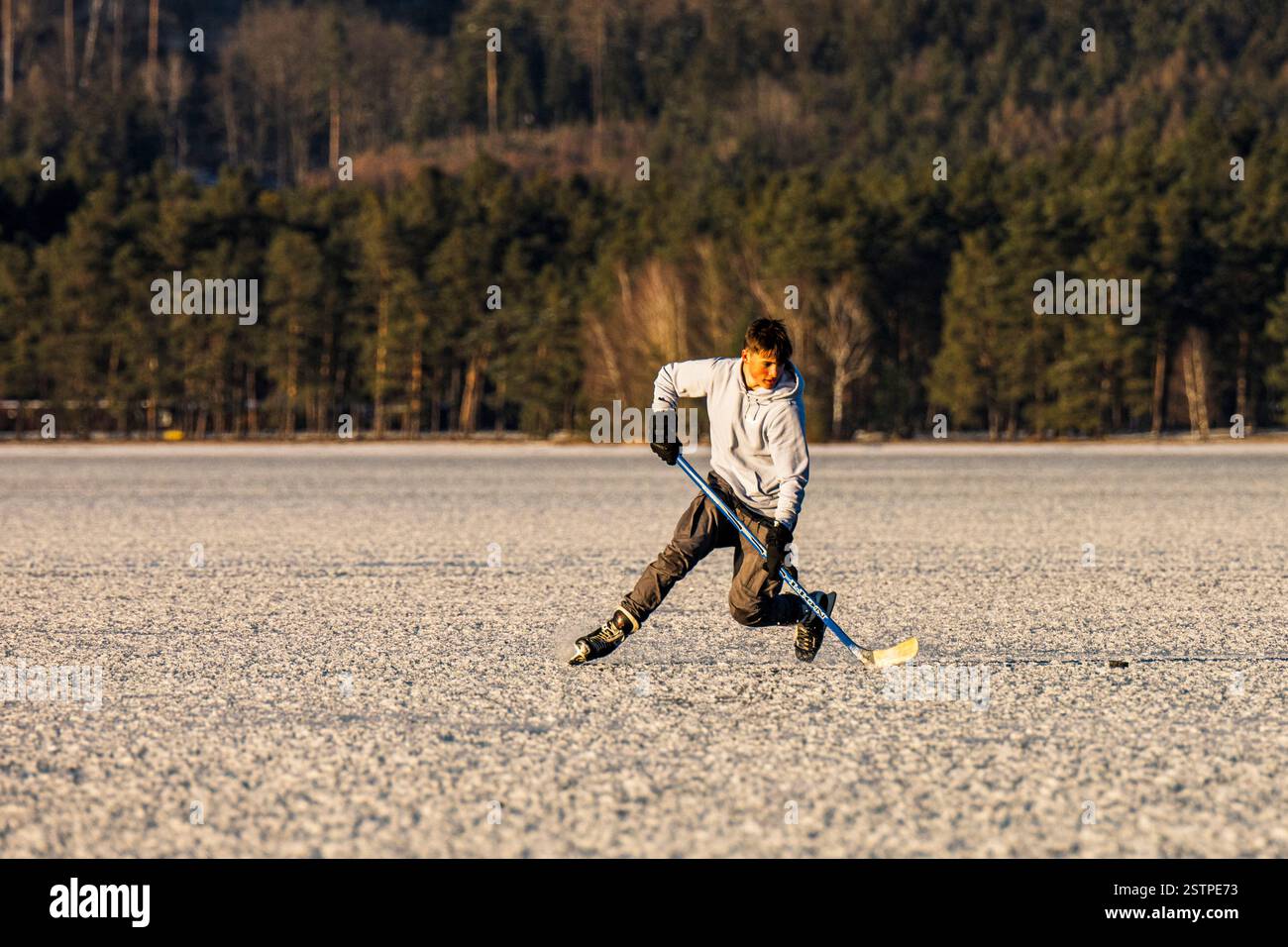 Doksy, Czech Republic. 19th Feb, 2025. Sunny and frosty weather ...