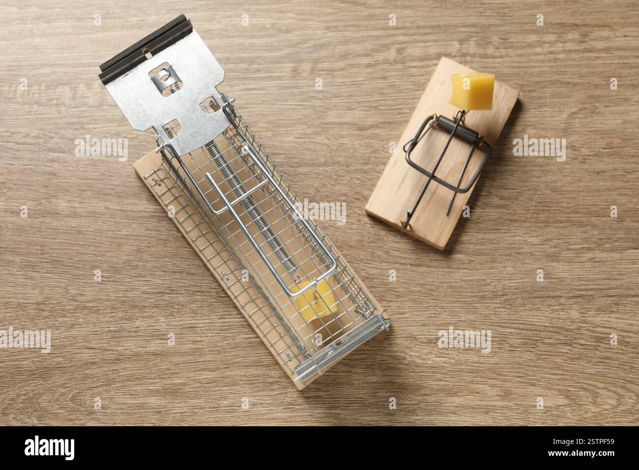 Two different mouse traps with bait on floor, flat lay Stock Photo - Alamy