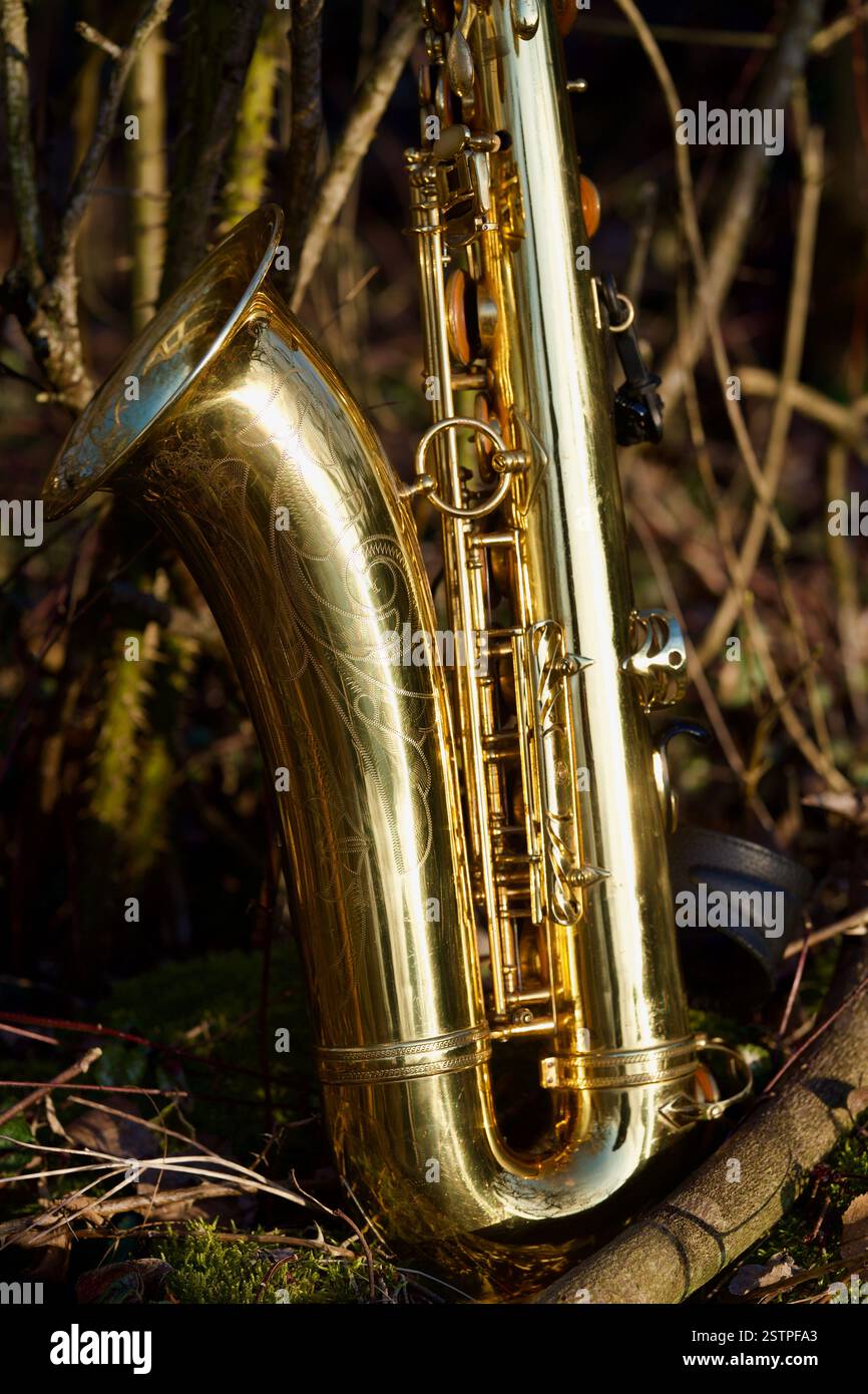 Artistic tenor hi-res stock photography and images - Alamy
