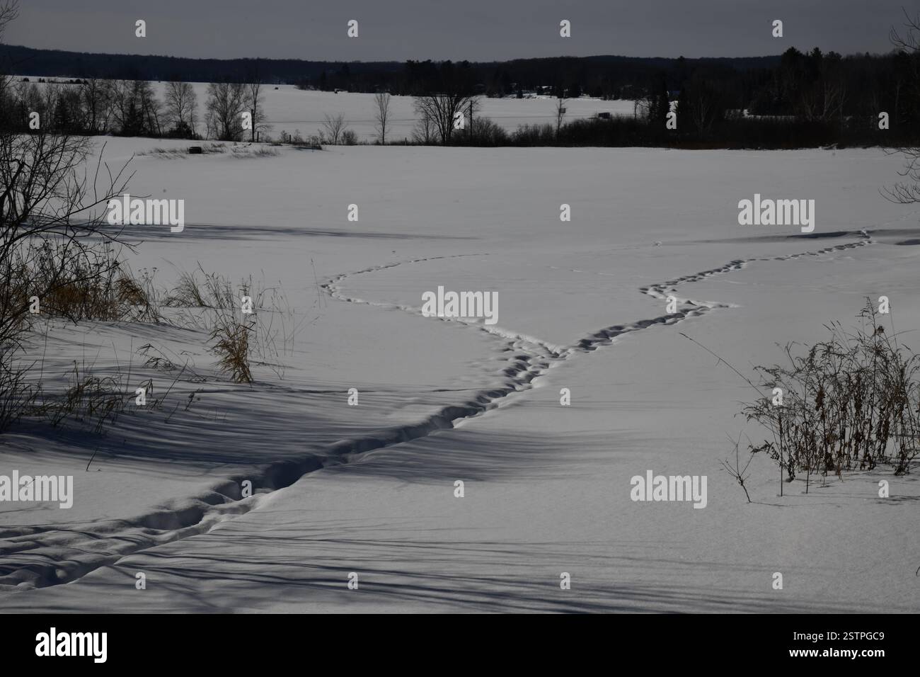 Crossing in wintyer hi-res stock photography and images - Alamy
