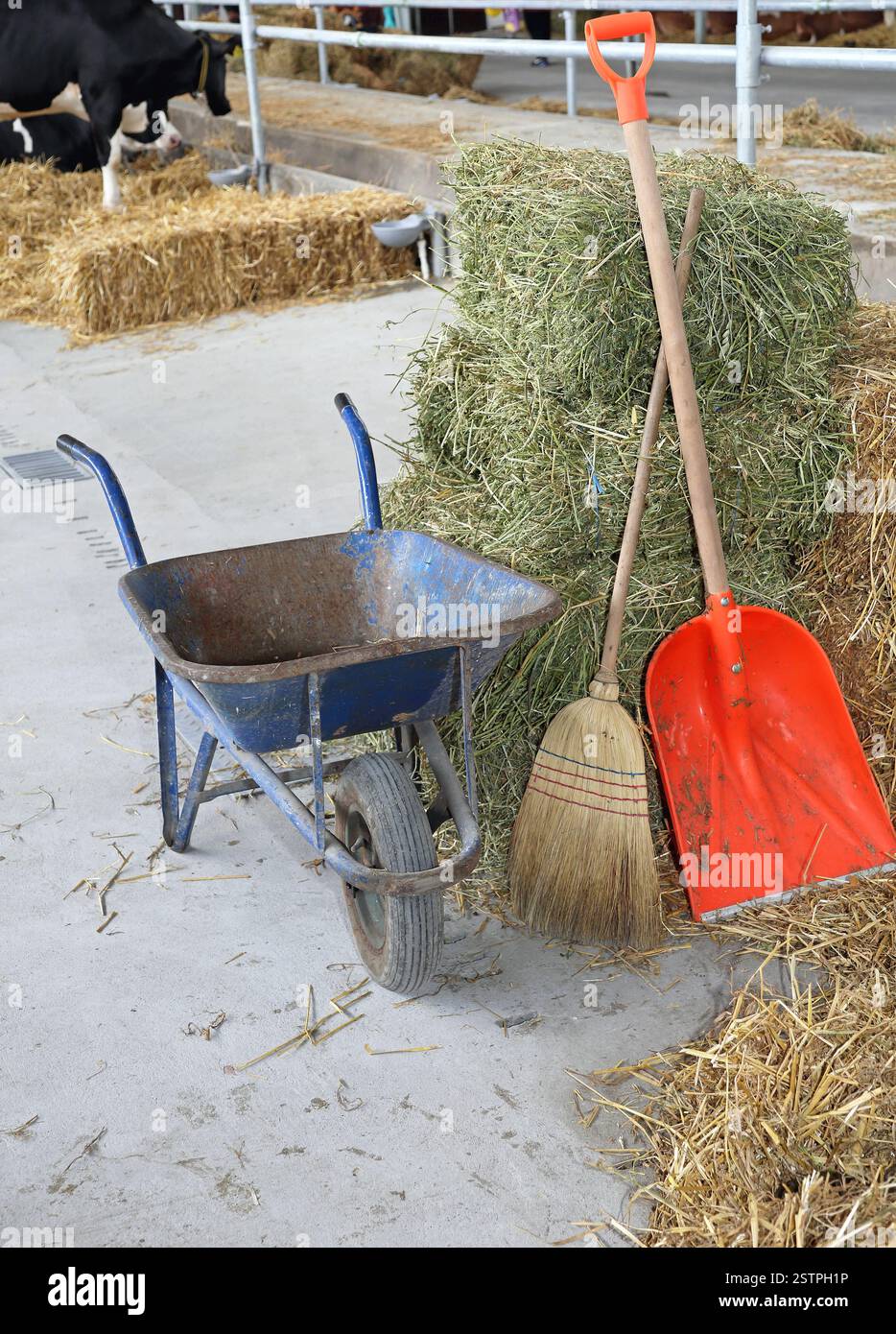 Wheelbarrow cart broom and shovel in stable at farm hi-res stock ...