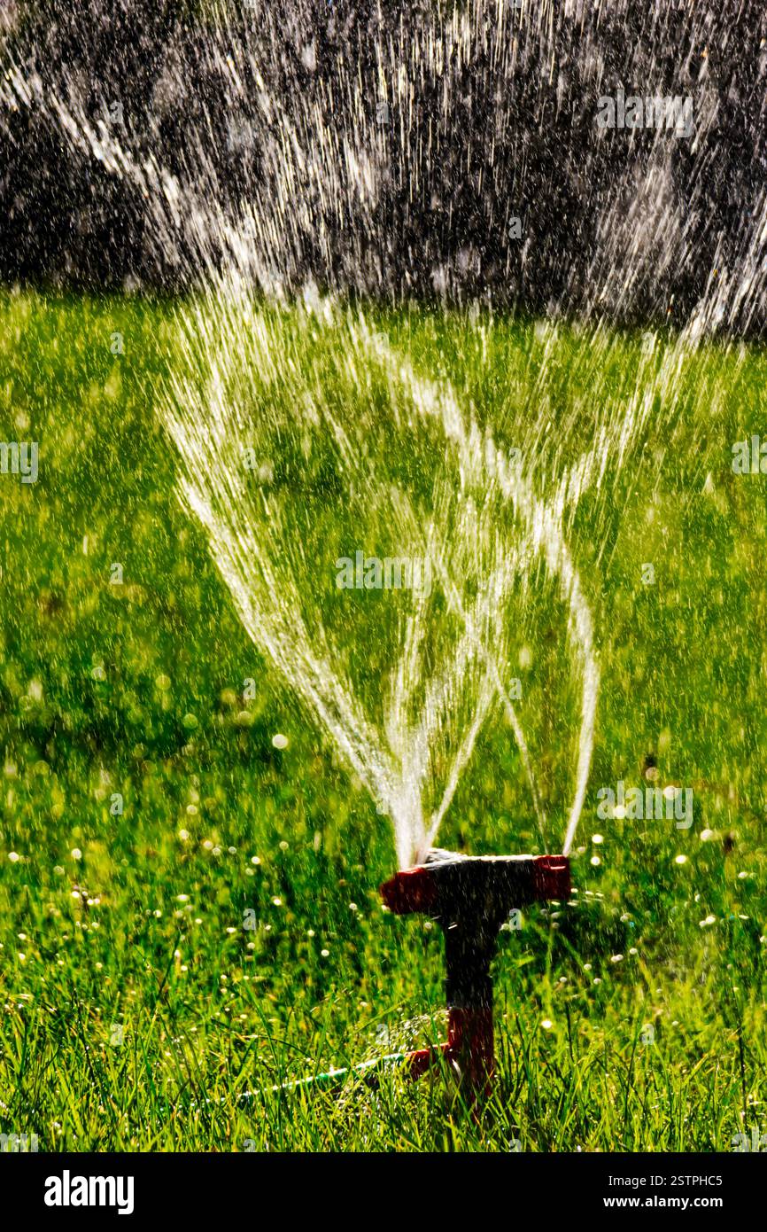 Lawn sprinkler agricultural system working. Blurred water fly in the ...