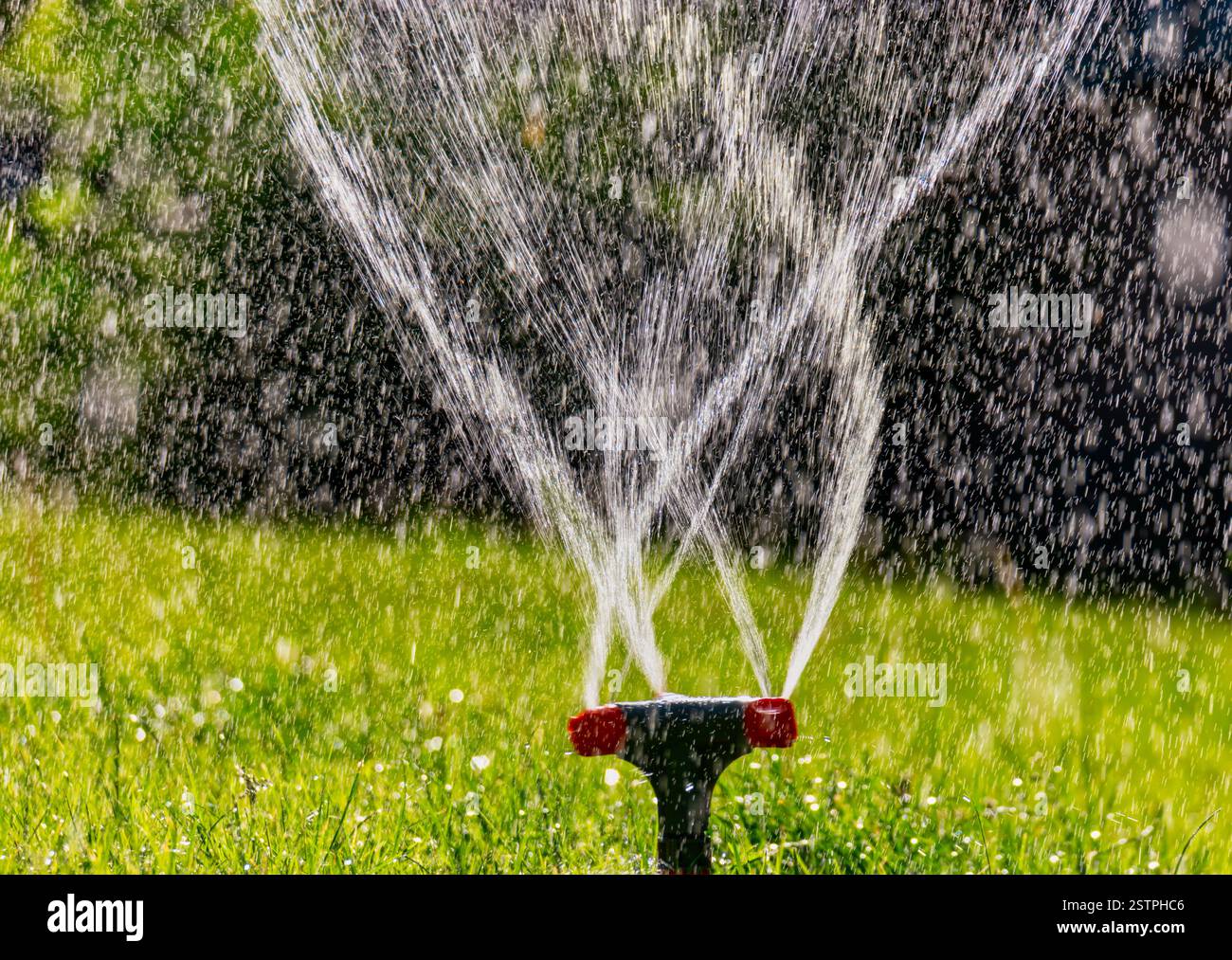 Slow motion footage water sprinkler hi-res stock photography and images ...