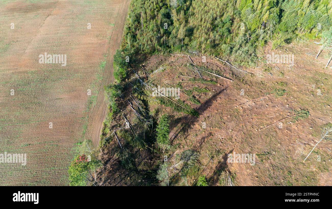 Aerial view of a deforested area next to a forest, showing fallen trees and cleared land Stock ...