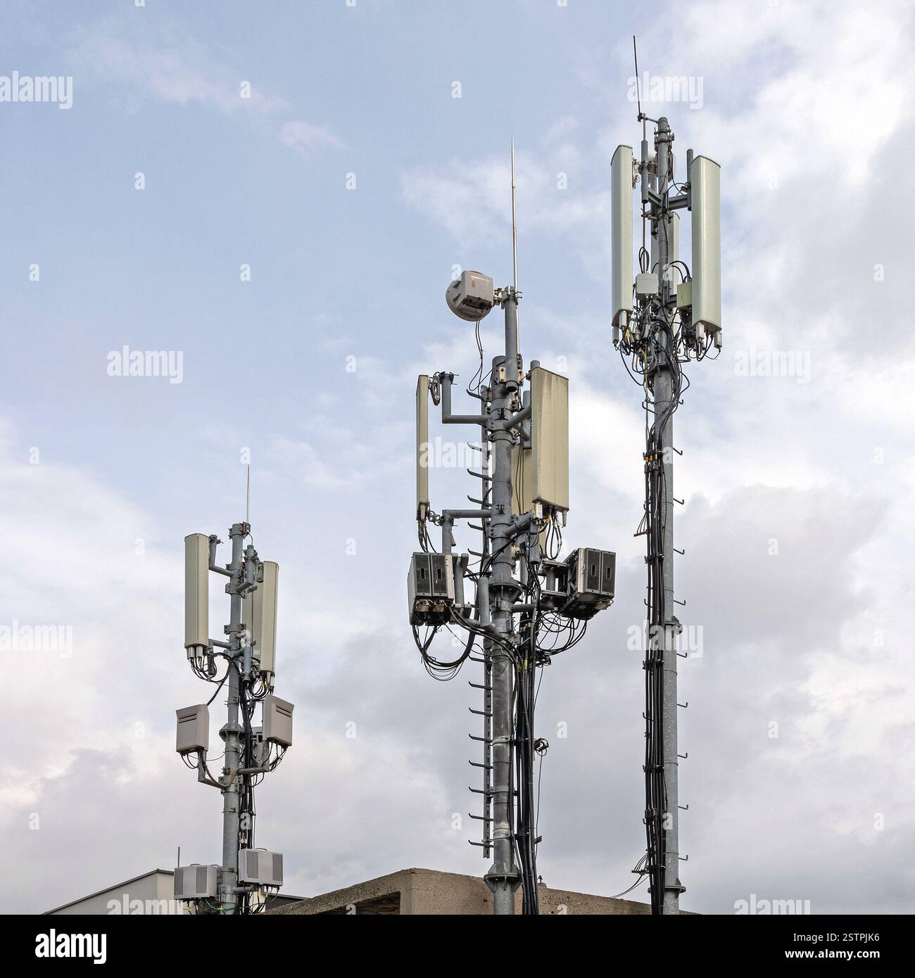 Mast Cell Site Stock Photo - Alamy