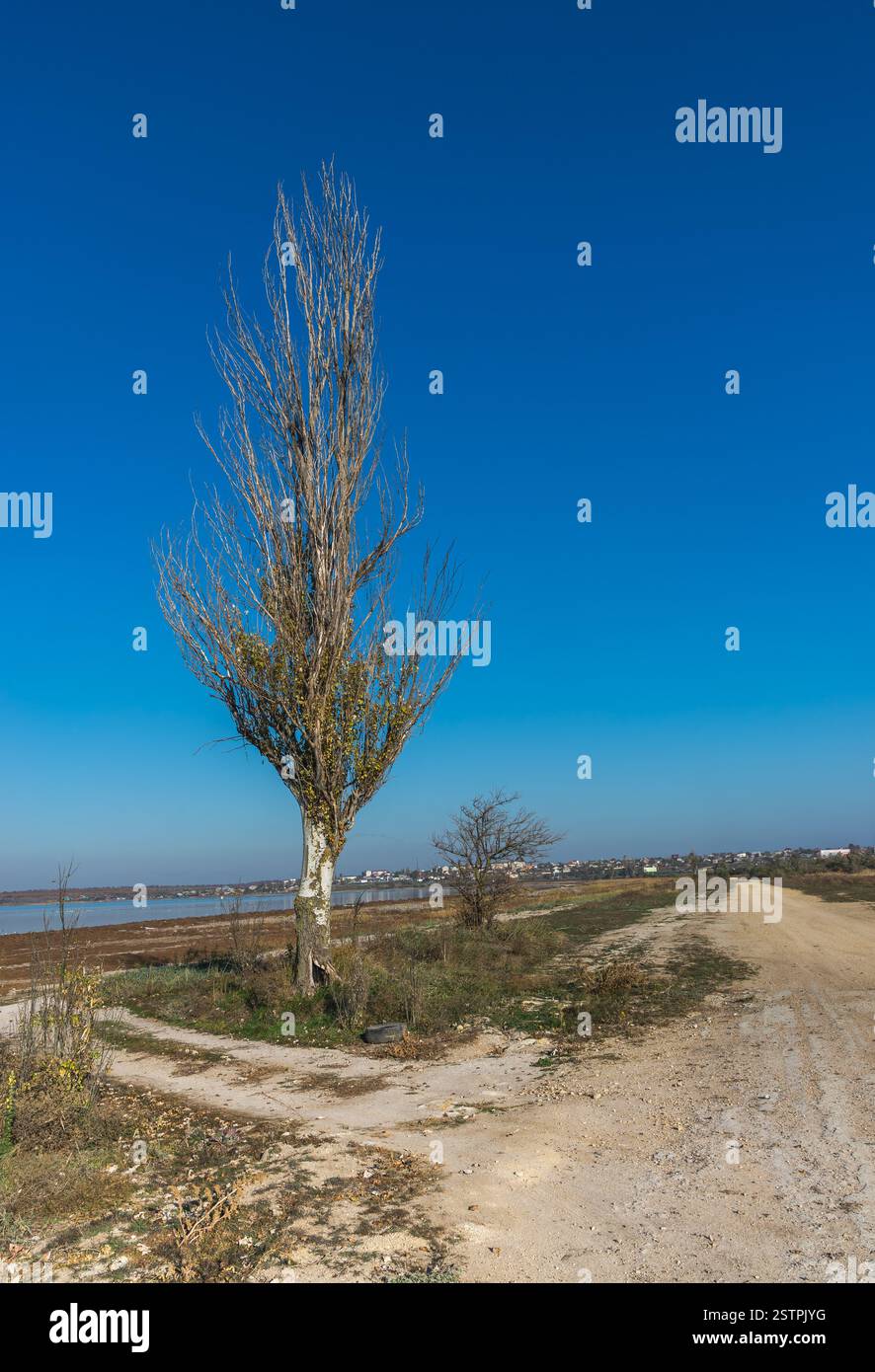Koblevo, Ukraine - 10.11. 2019. Deserted autumn beach at the Black Sea ...