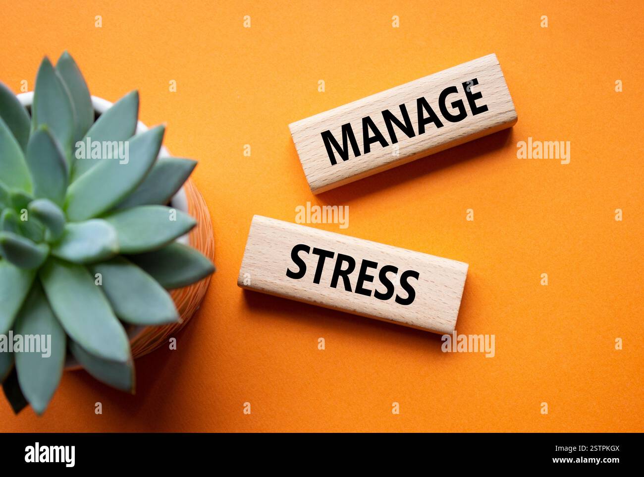 Manage stress symbol. Concept word Manage stress on wooden blocks ...