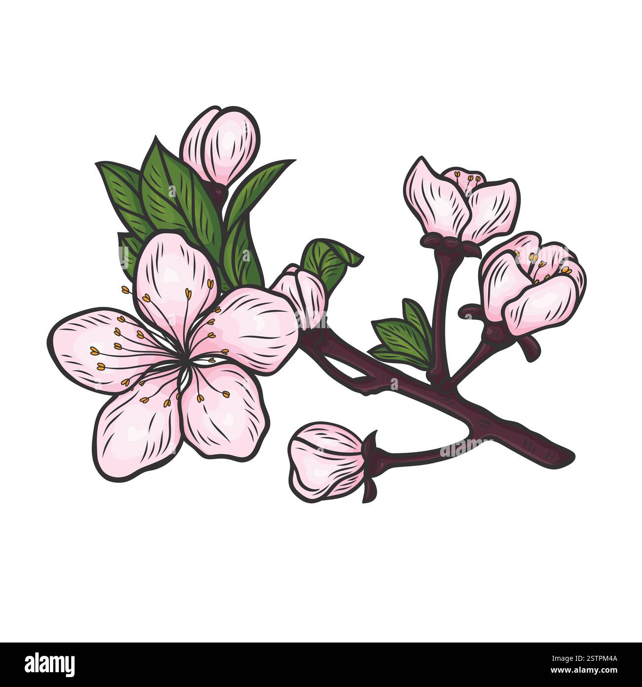 Wild flower branch Stock Vector Images - Alamy