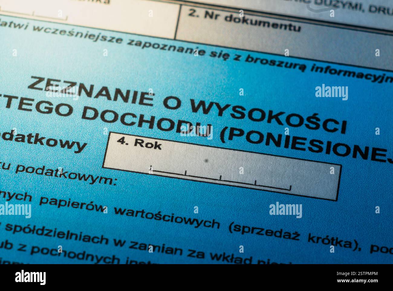 Detailed paperwork displaying Polish PIT tax forms essential for annual ...