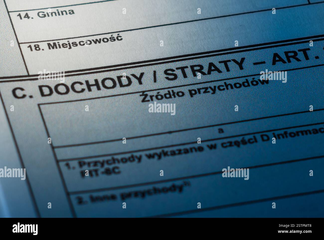 Detailed view of a Polish Pit tax form highlighting income and loss ...