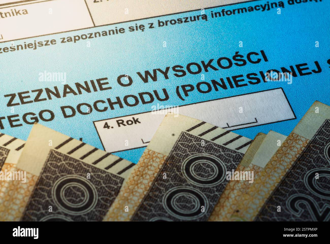 Exploring Polish PIT tax forms showcasing annual earnings and financial ...