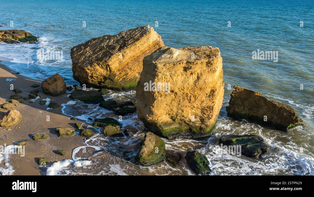Shell limestone cliff hi-res stock photography and images - Alamy