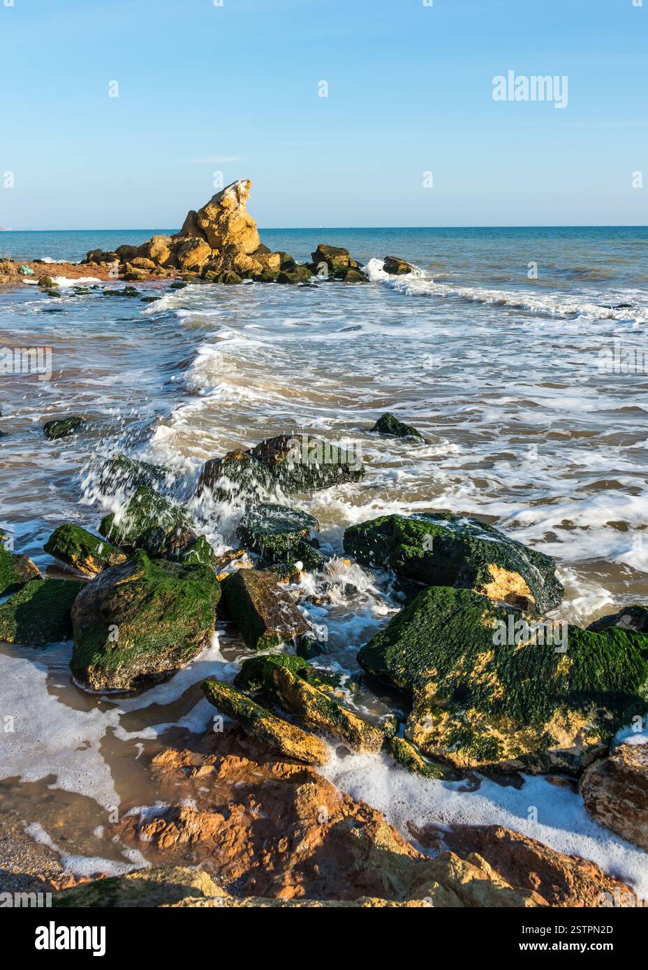 Shells at water edge hi-res stock photography and images - Alamy
