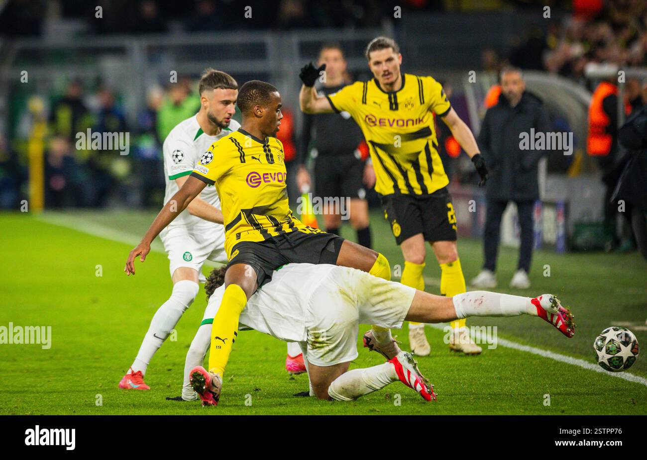 Dortmund, Germany. 19th Feb 2025. Jamie Gittens (BvB) Eduardo Quaresma (SP) Borussia Dortmund ...