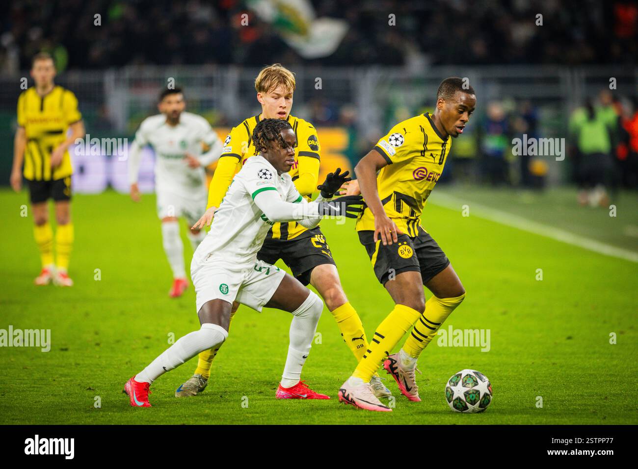 Dortmund, Germany. 19th Feb 2025. Geovany Quenda (SP) Jamie Gittens (BvB) Borussia Dortmund ...