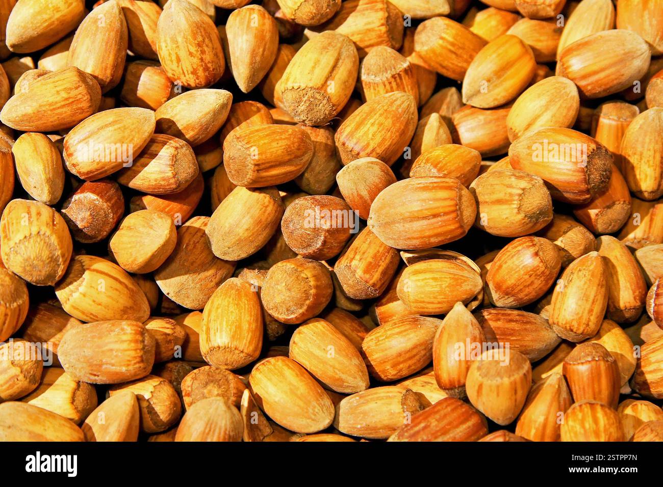 Hazelnuts pile hi-res stock photography and images - Alamy