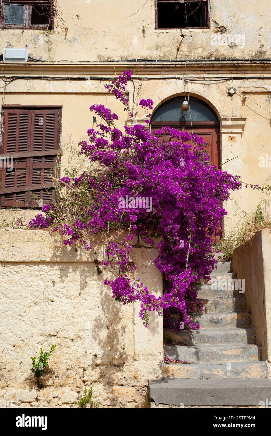 Eingang einfahrt hi-res stock photography and images - Alamy