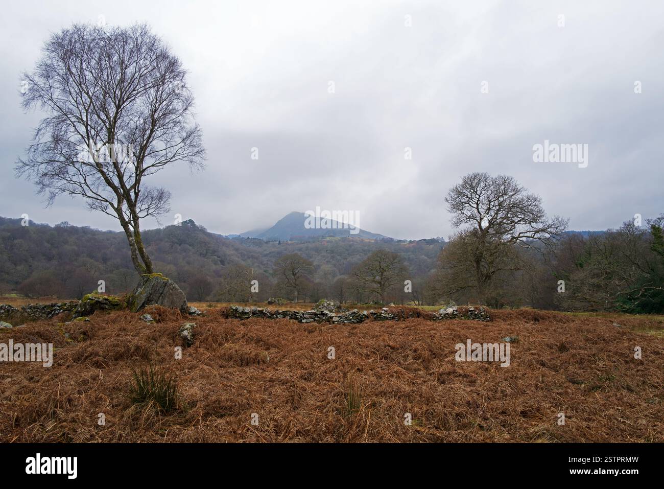 Moel Siabod is a mountain in the Snowdonia National Park in North Wales ...