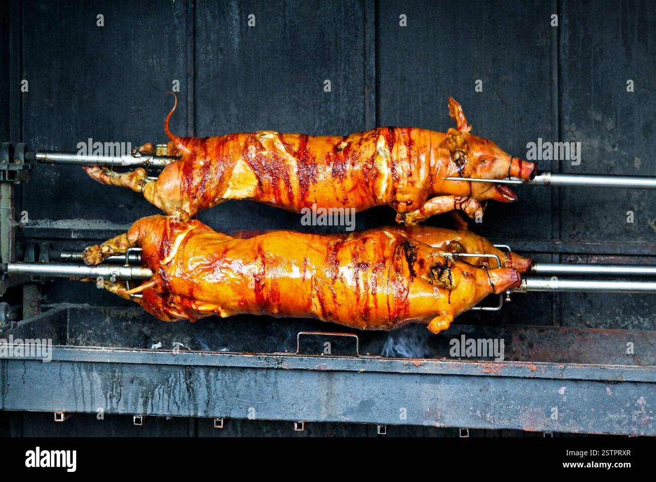 Three pigs rolling on the skewer while roasting Stock Photo - Alamy
