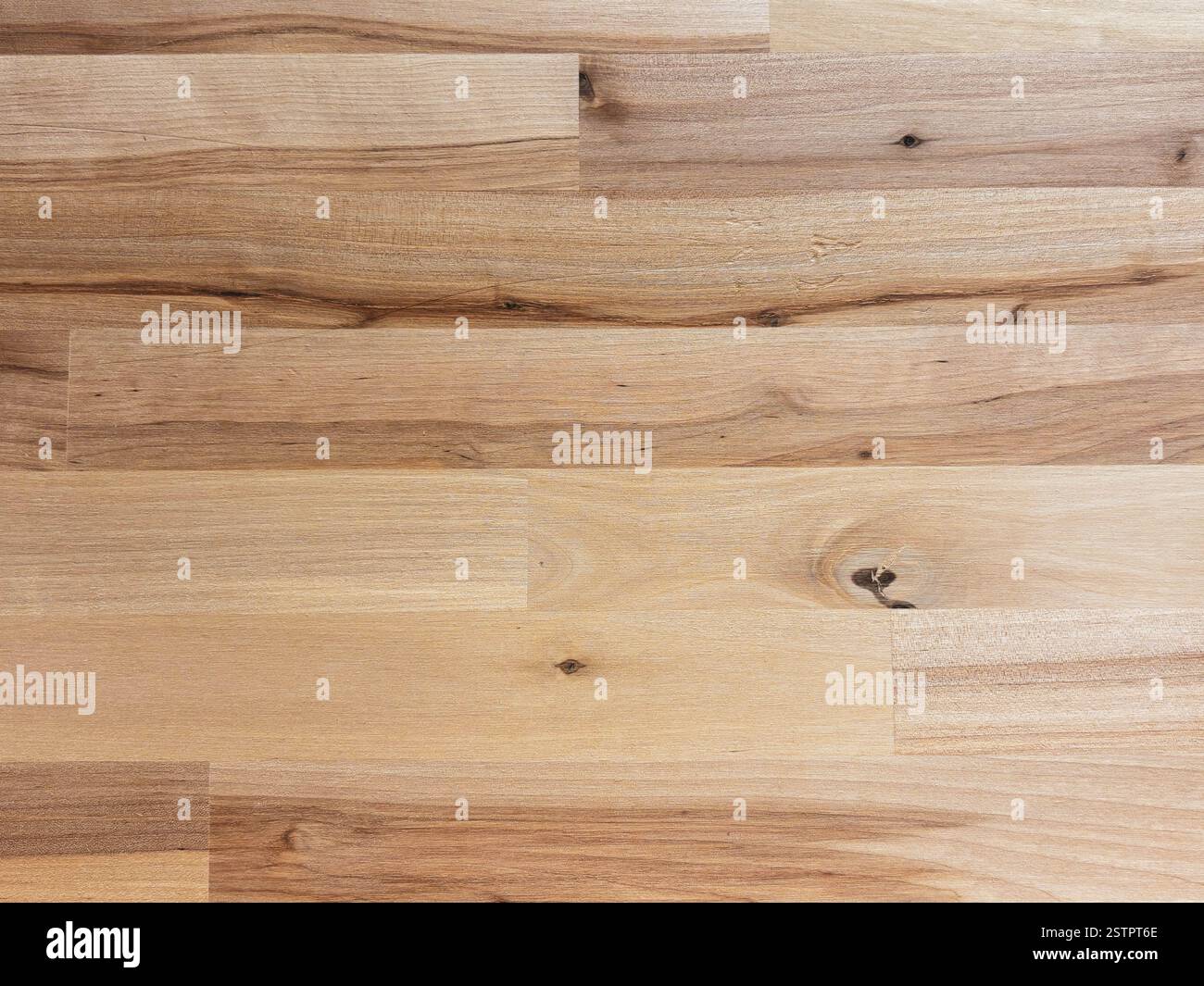 Fine wood textures in various colors and finishes. Wooden background ...