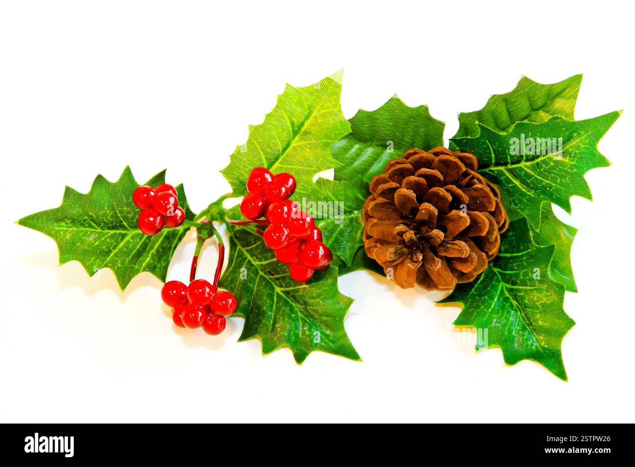 Mistletoe berries christmas decoration Cut Out Stock Images & Pictures ...