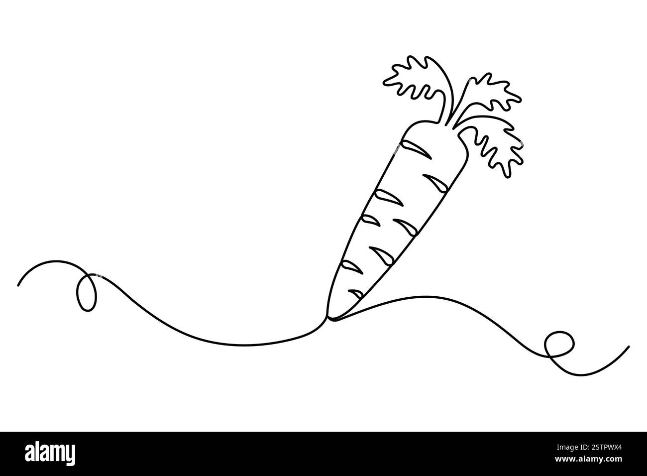 Continuous one line drawing of isolated carrot outline vector art ...