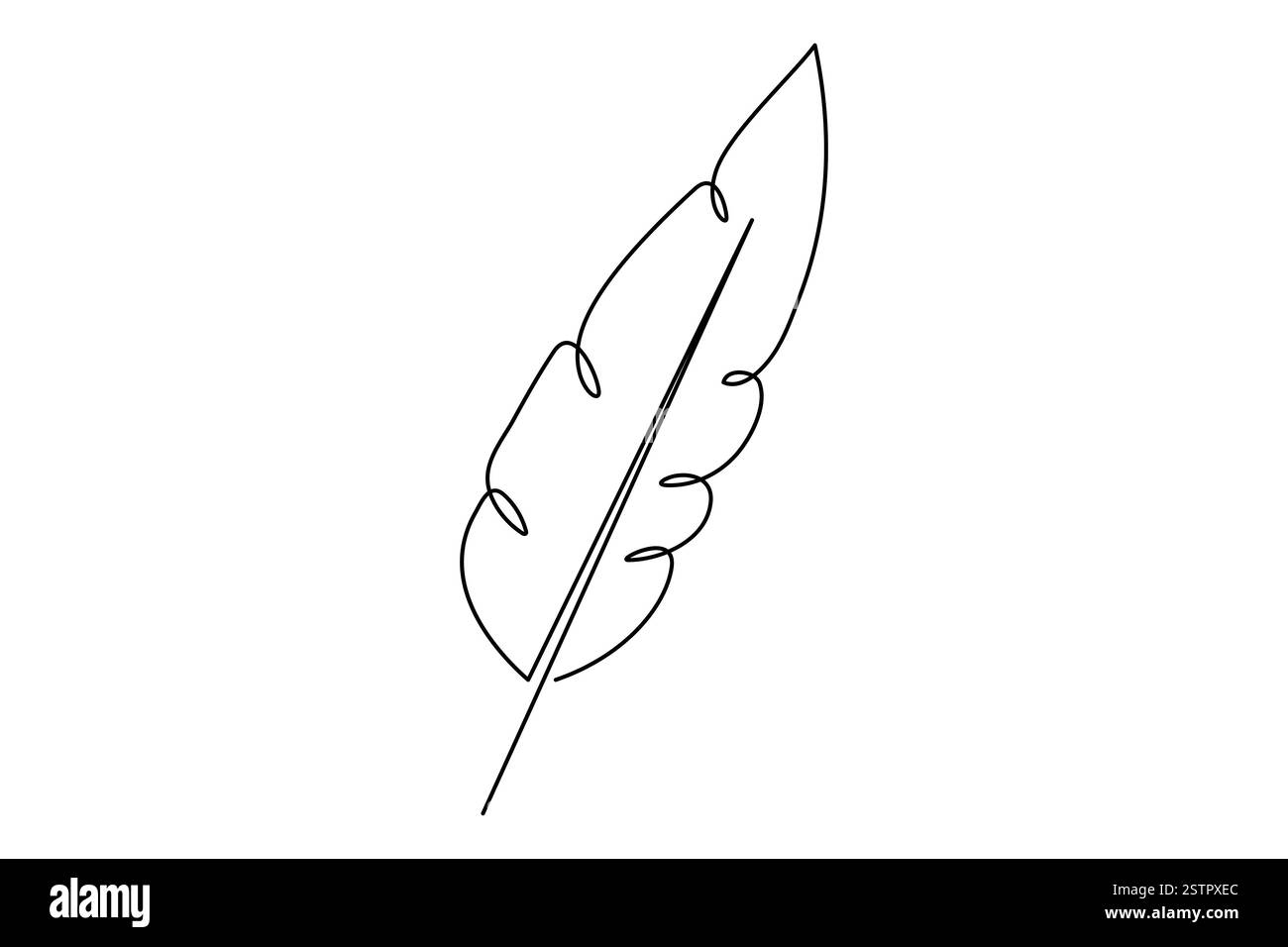 Continuous one line drawing of Bird feather Isolated on white ...