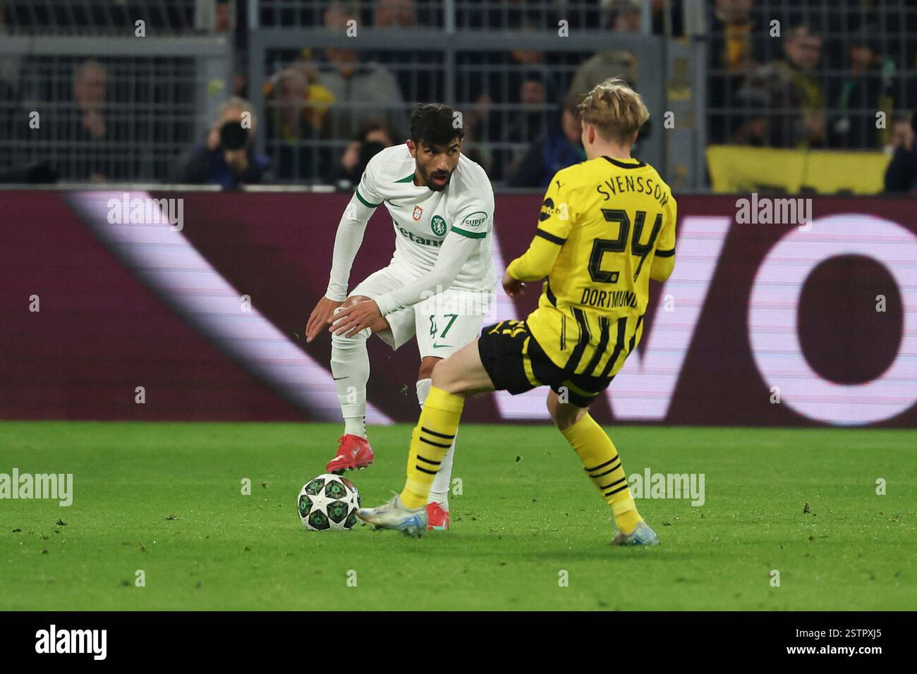 Dortmund, Deutschland. 19th Feb, 2025. Dortmund on February 19, 2025 Uefa Champions League ...