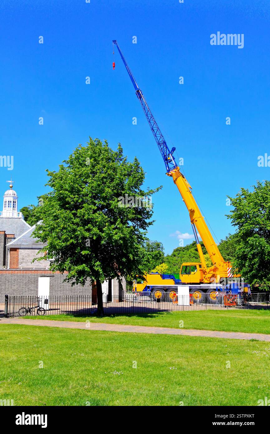 Crane on tree hi-res stock photography and images - Alamy