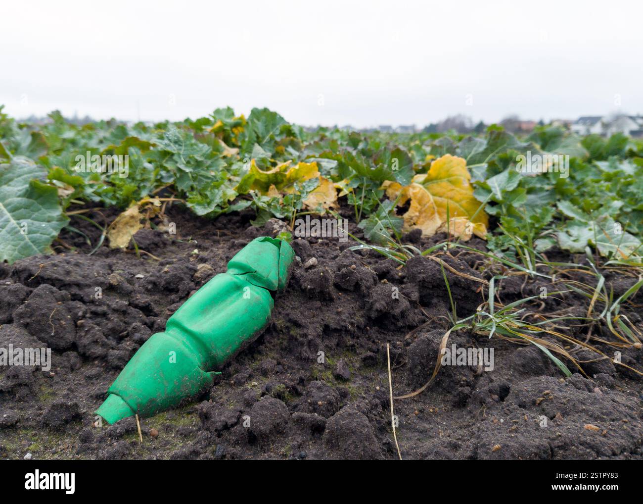 Crushed Green Plastic Bottle Polluting Agricultural Soil Stock Photo ...