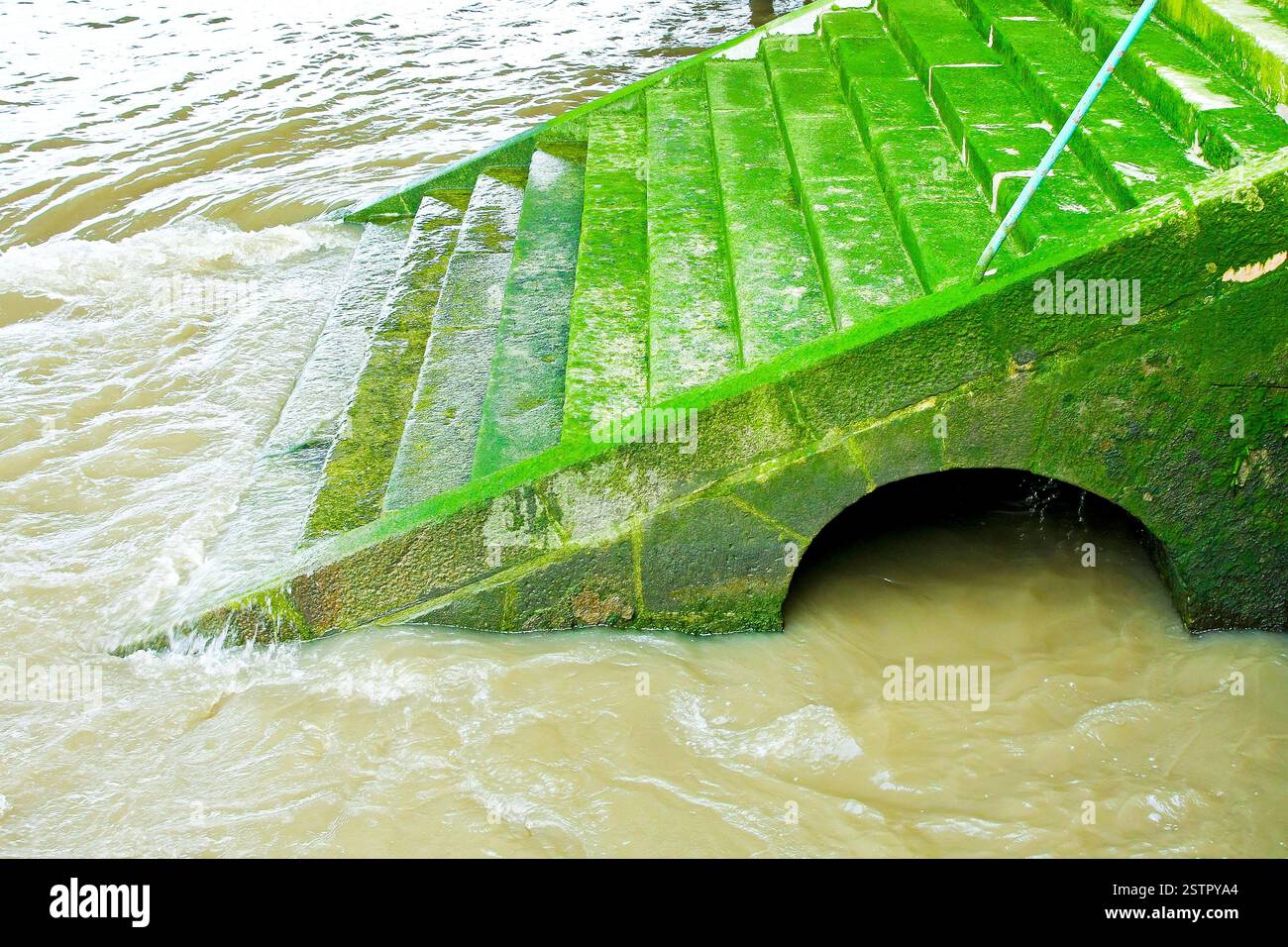 Green stone stairs descending in river water hi-res stock photography ...