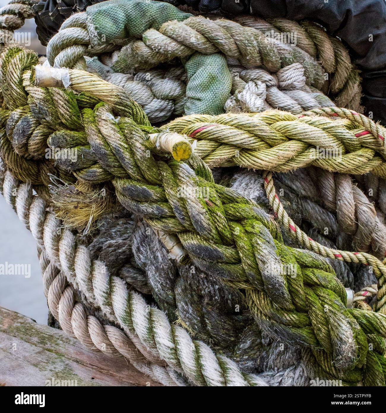 Ropes knotted together with different colours and textures. Concepts ...
